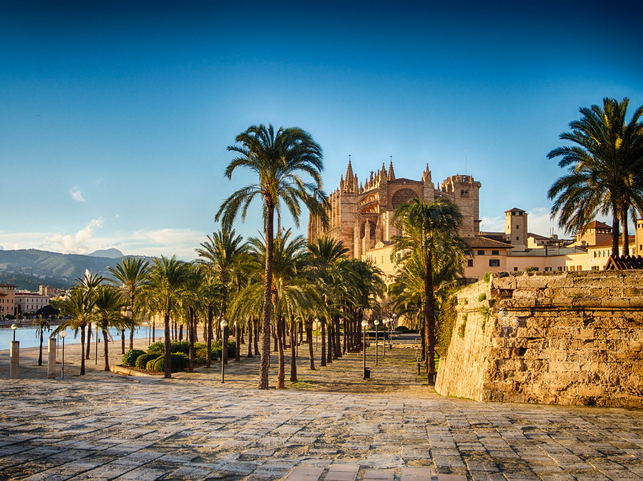 Mallorca im Winter: Ein echter Geheimtipp | Holidayguru.ch